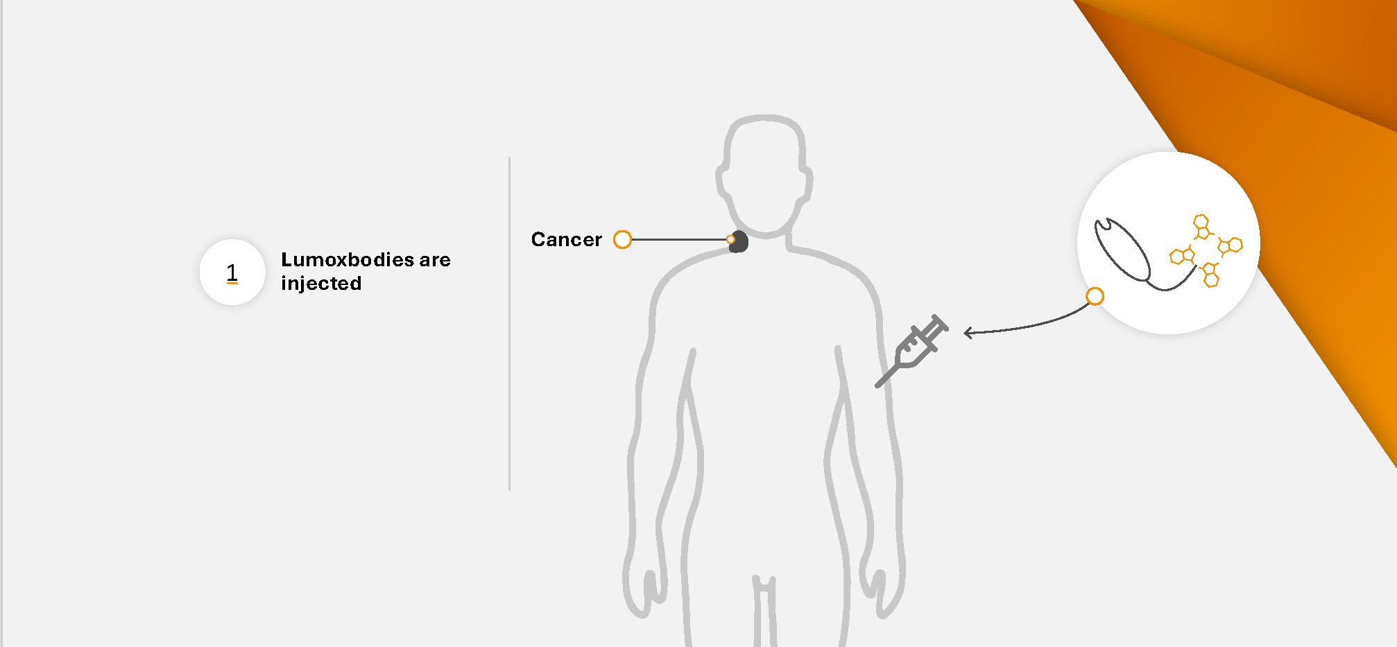 Lumox – Brightening the life of cancer patients